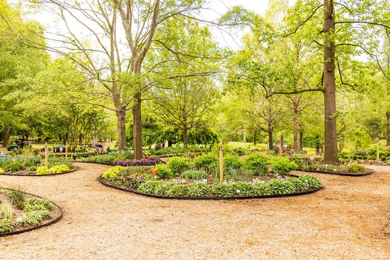 The Gardens of Southeastern North Carolina - Proven Winners Landscape ...